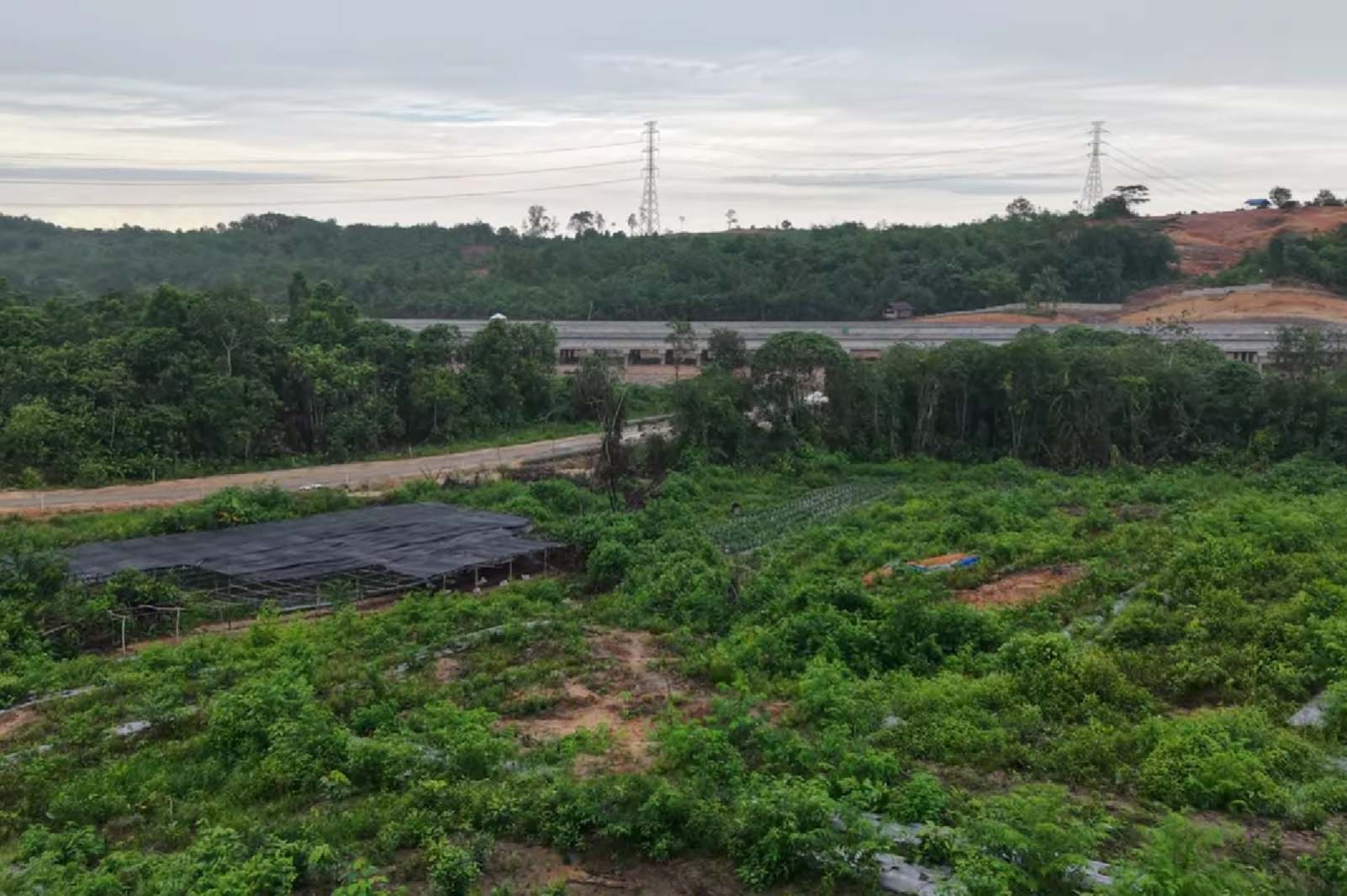 Kota Hutan di Ibu Kota Nusantara: Menjembatani Modernitas dan ...